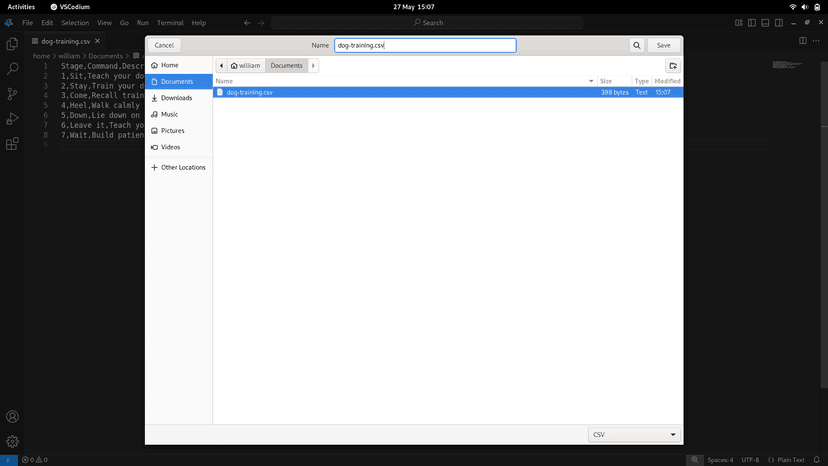 Importing Data from a CSV File - Documentation